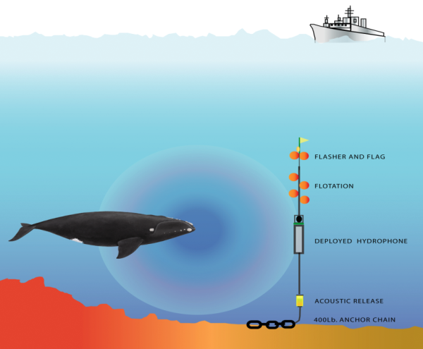 Cooperative Institute for Marine Ecosystem and Resources Studies ...